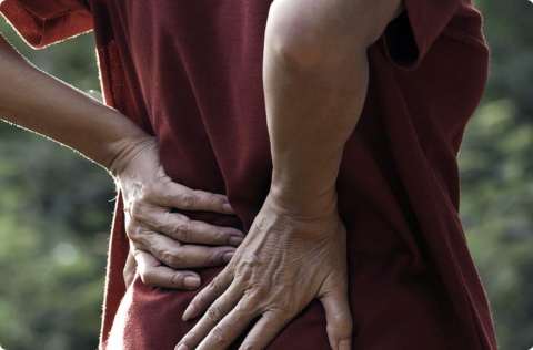 Home - UK | ReActiv8: Low Back Pain Recovery